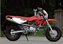 Nojima Japan | FASARM MIDDLE/MINI